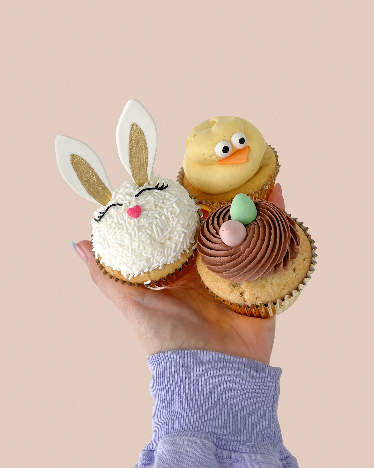 Easter Cupcake Decorating Class with Jenna Rae Cakes
