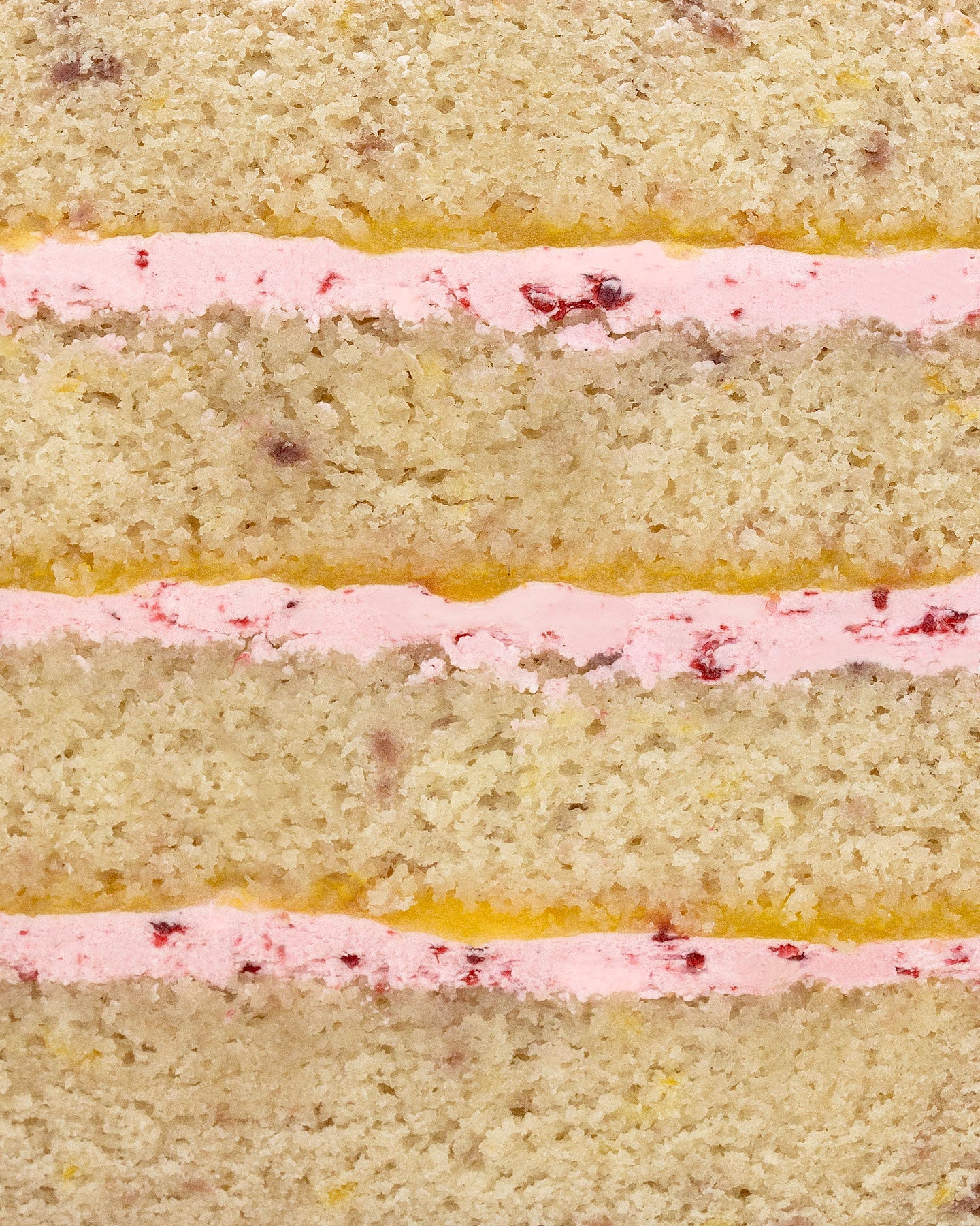 Lemon Raspberry Cake – Shop Jenna Rae Cakes